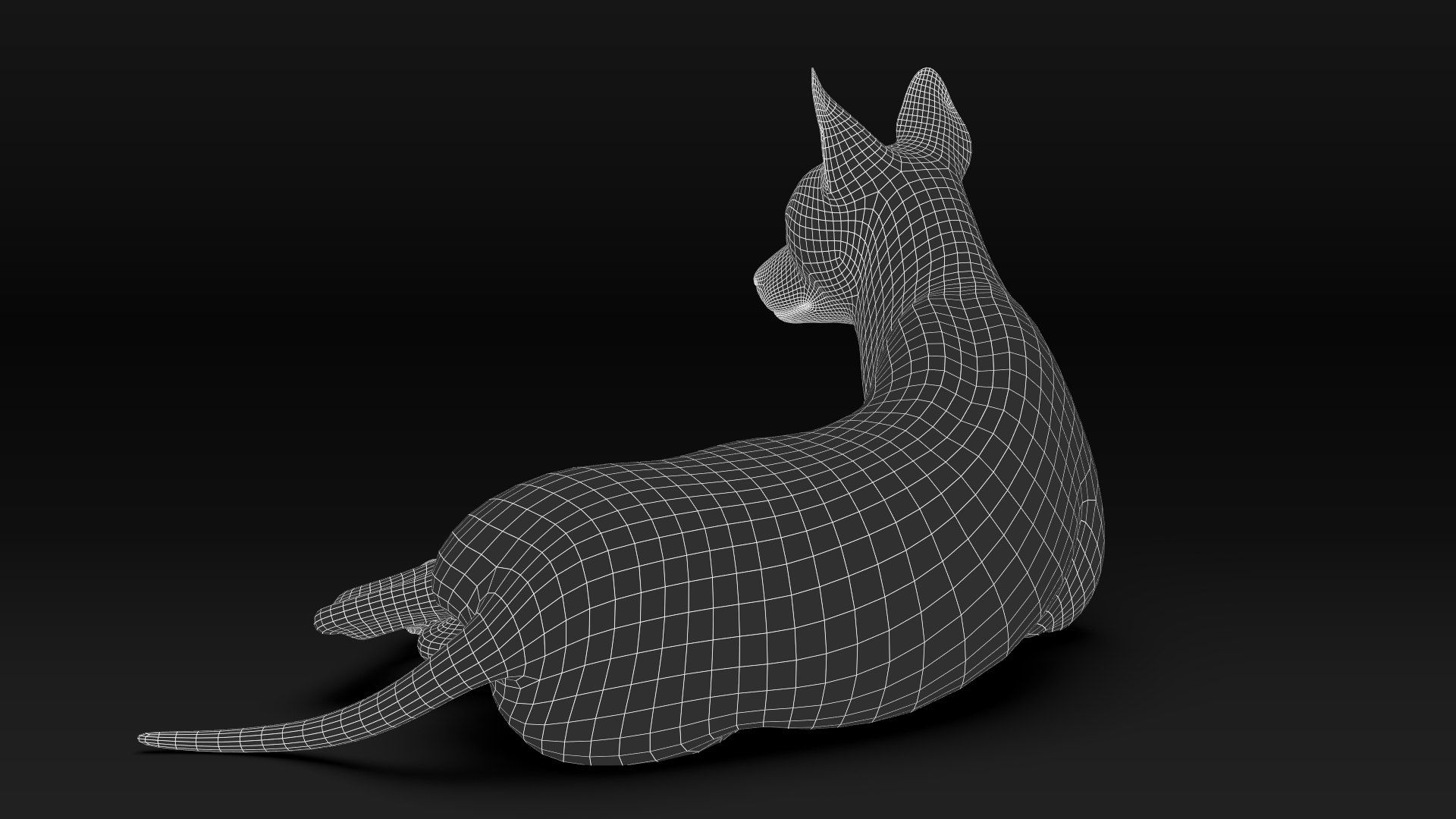 Black Timber Wolf Fur Animated 3D Model - TurboSquid 1995803
