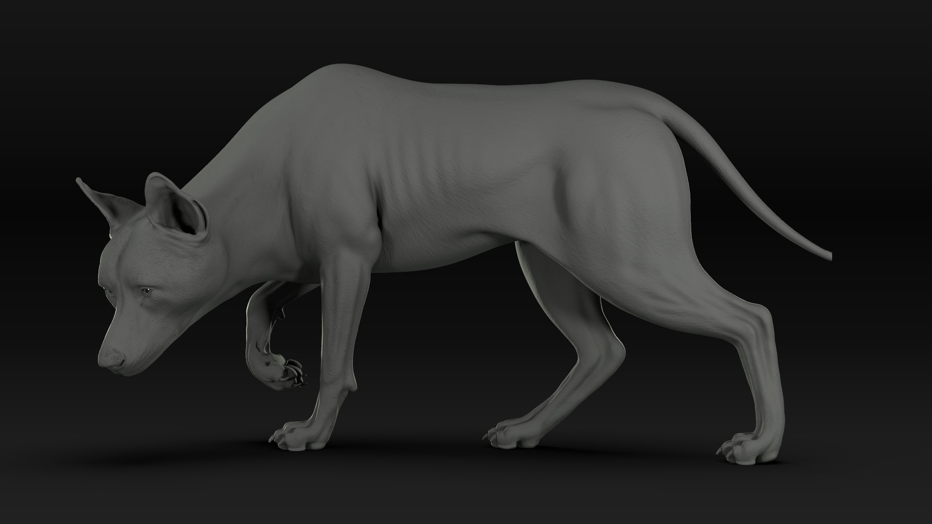 Black Timber Wolf Fur Animated 3D Model - TurboSquid 1995803