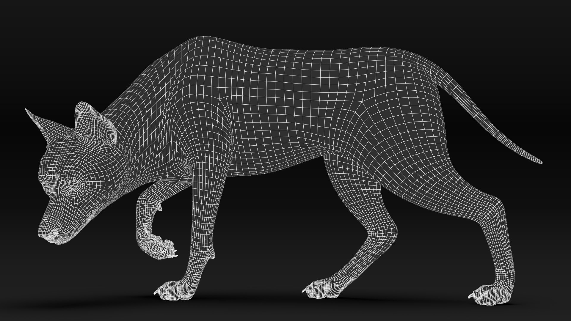Black Timber Wolf Fur Animated 3D Model - TurboSquid 1995803