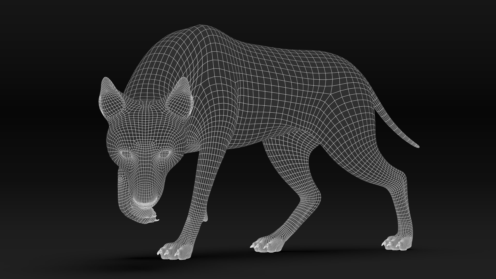 Black Timber Wolf Fur Animated 3D Model - TurboSquid 1995803