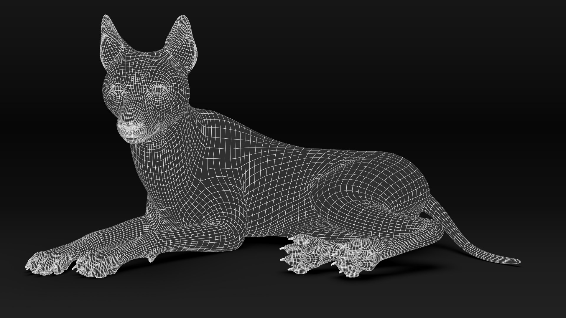 Black Timber Wolf Fur Animated 3D Model - TurboSquid 1995803