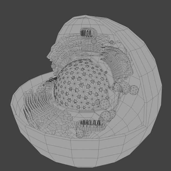 animal eukaryote cell 3d model