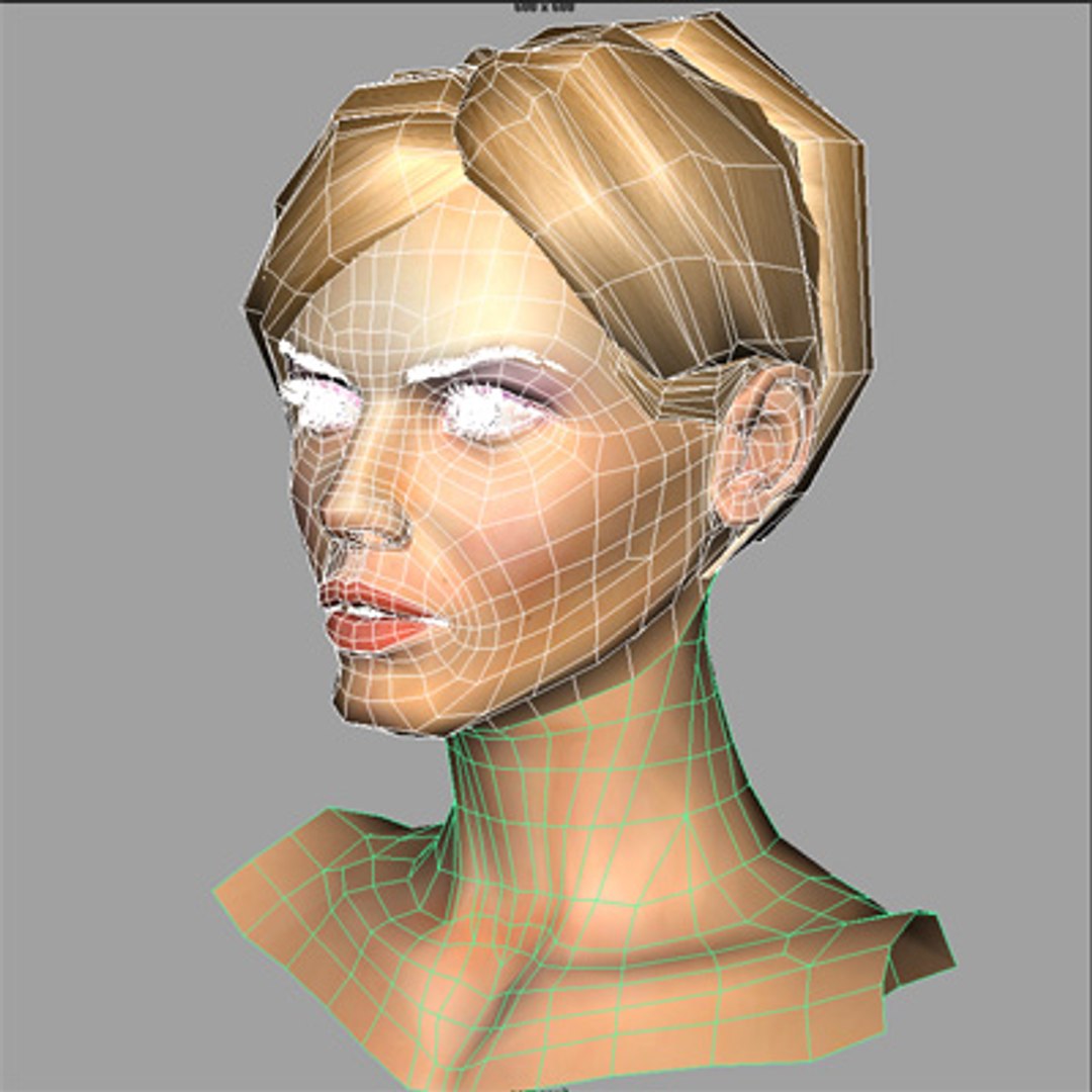 Head Eyes Hair 3d Model