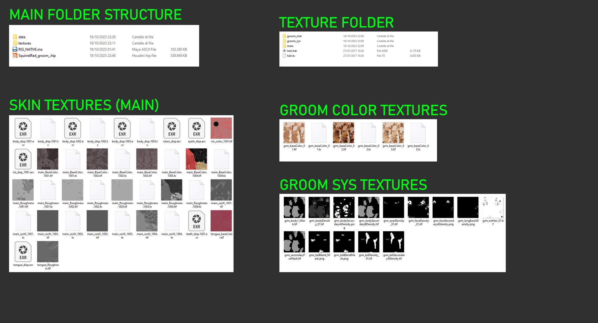 Squirrel RIGGED FUR - Houdini 3D model - TurboSquid 2141761