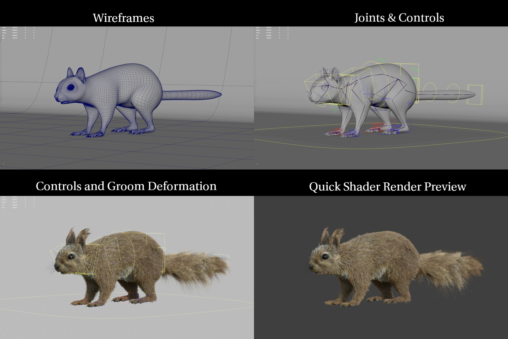 Squirrel RIGGED FUR - Houdini 3D model - TurboSquid 2141761