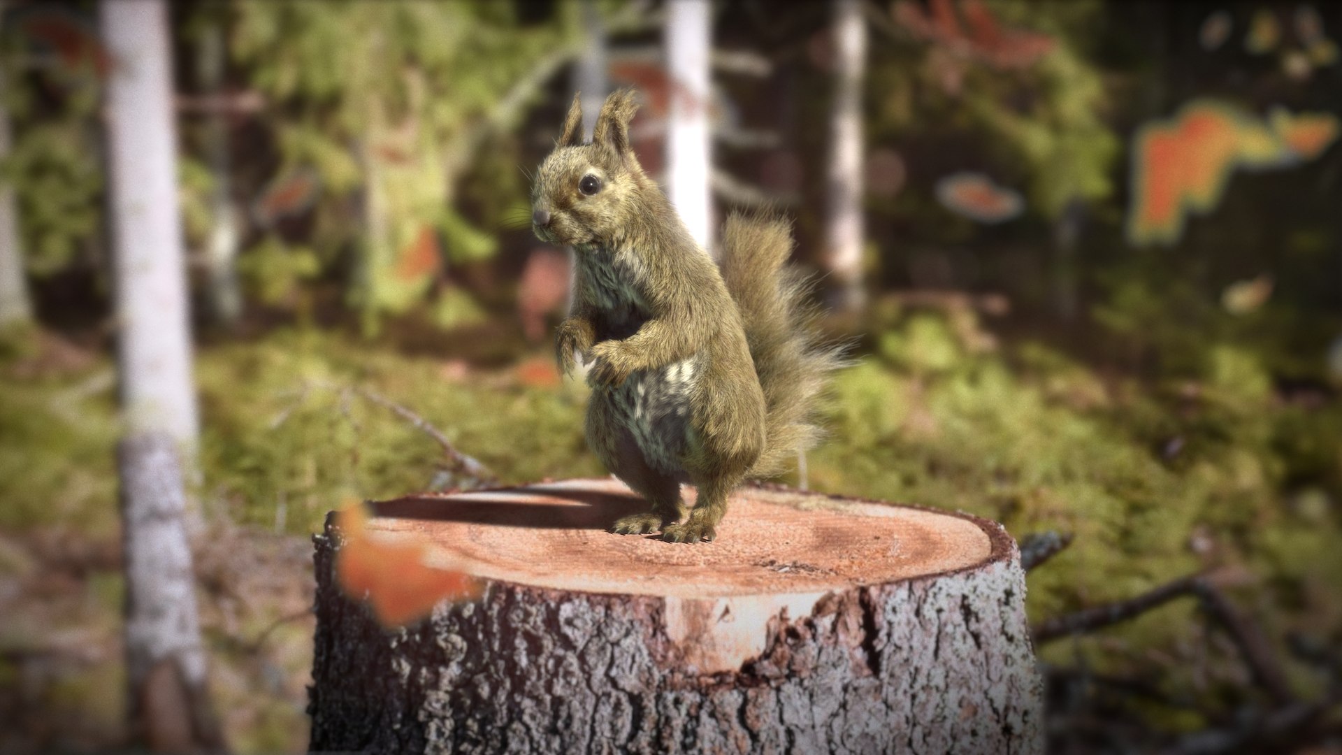 Squirrel RIGGED FUR - Houdini 3D model - TurboSquid 2141761