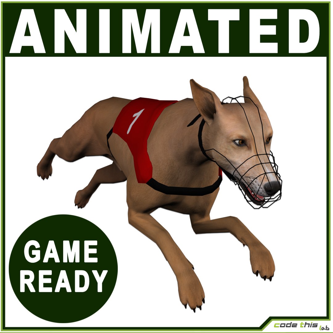 Racing Animations 3d Max