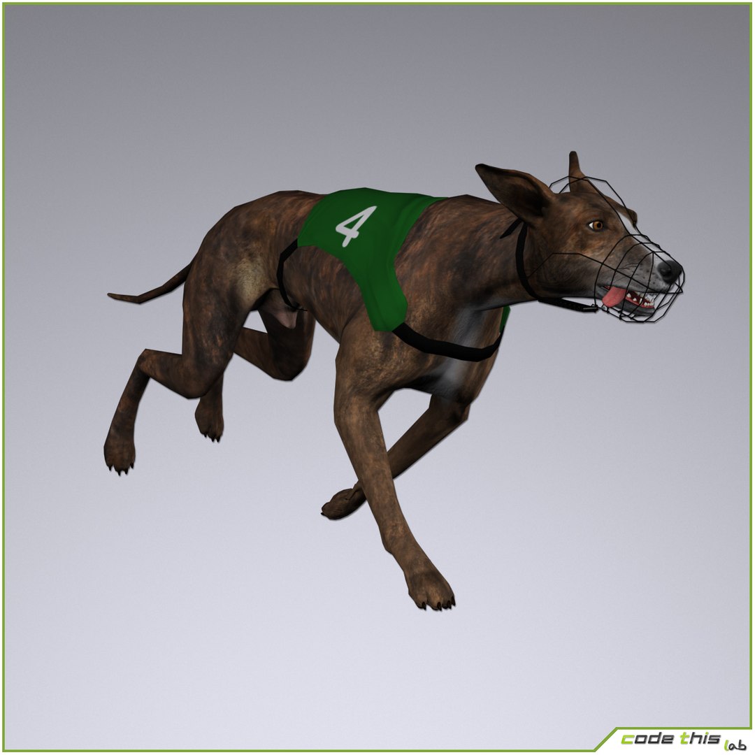 Racing Animations 3d Max