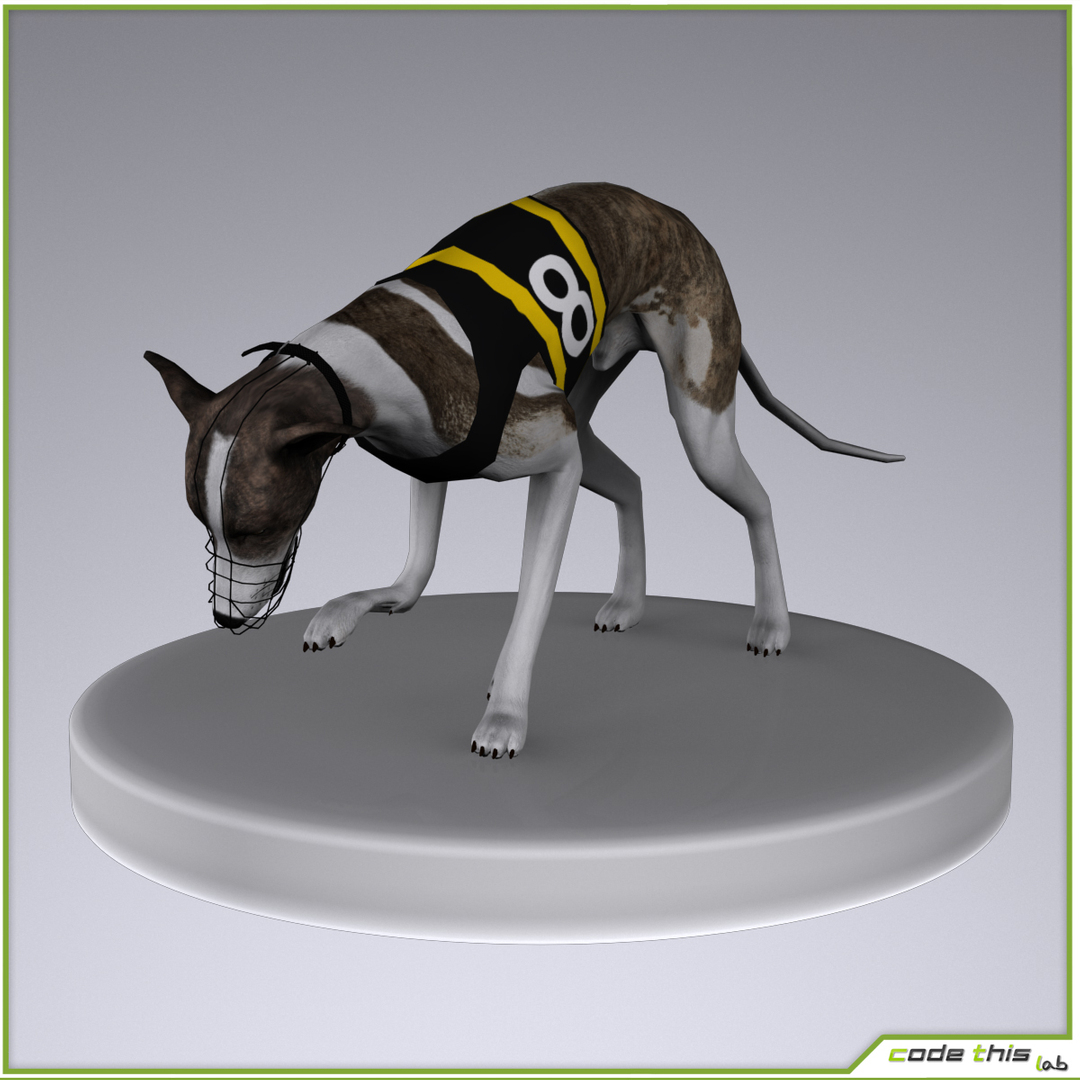 Racing Animations 3d Max