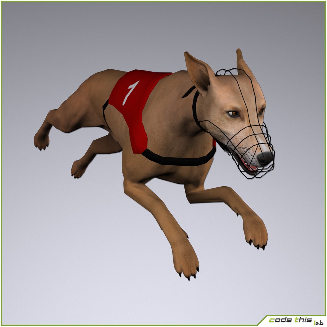 Racing Animations 3d Max