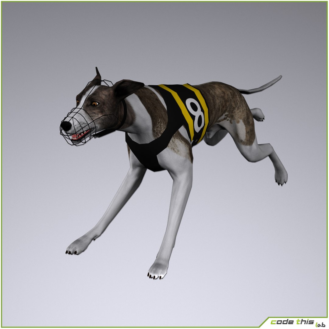 Racing Animations 3d Max