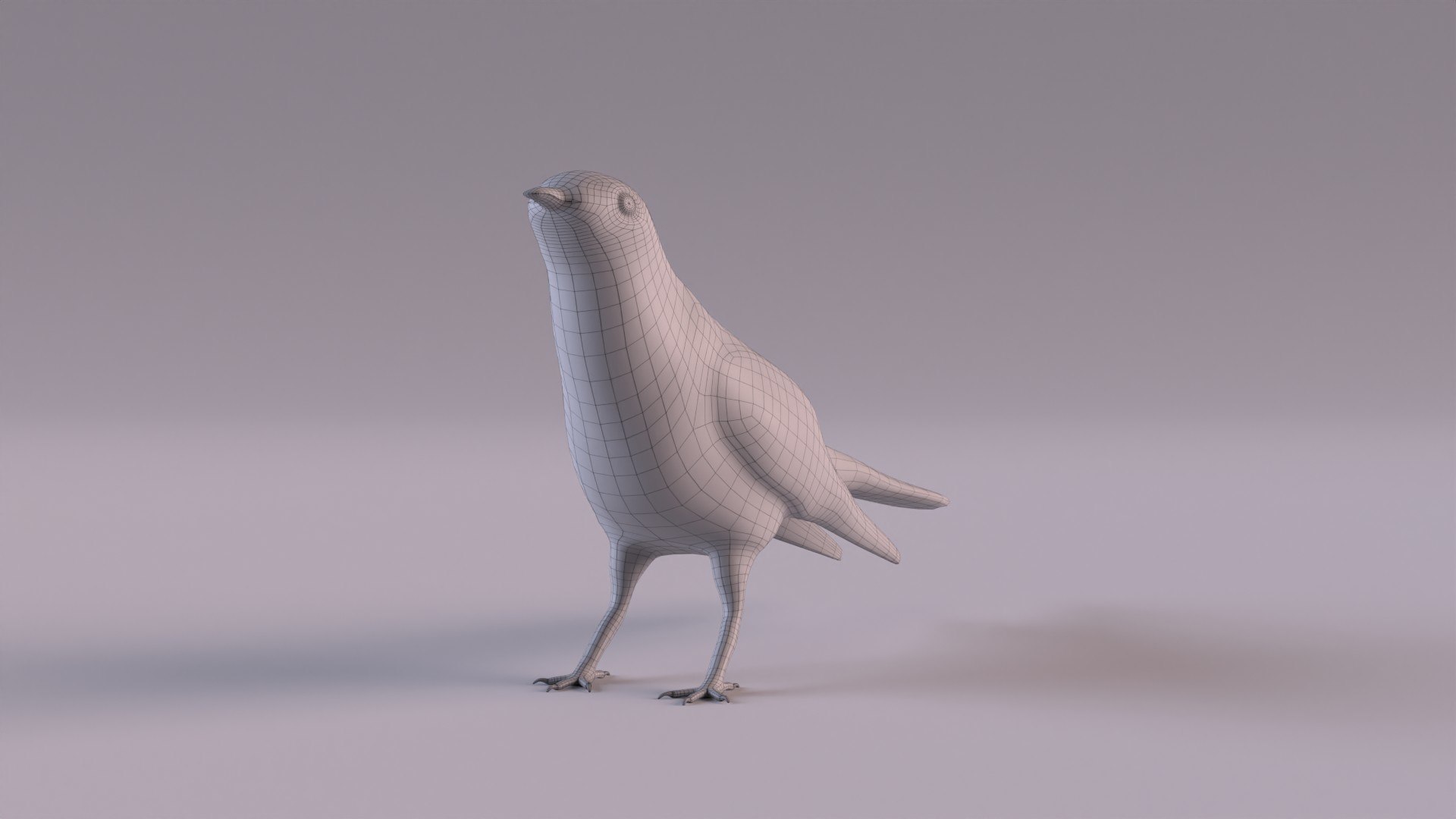 3d Model Cuckoo