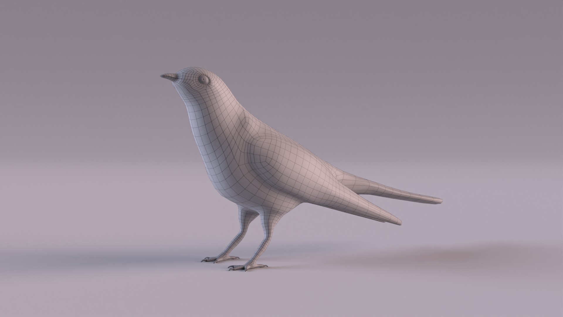 3d Model Cuckoo