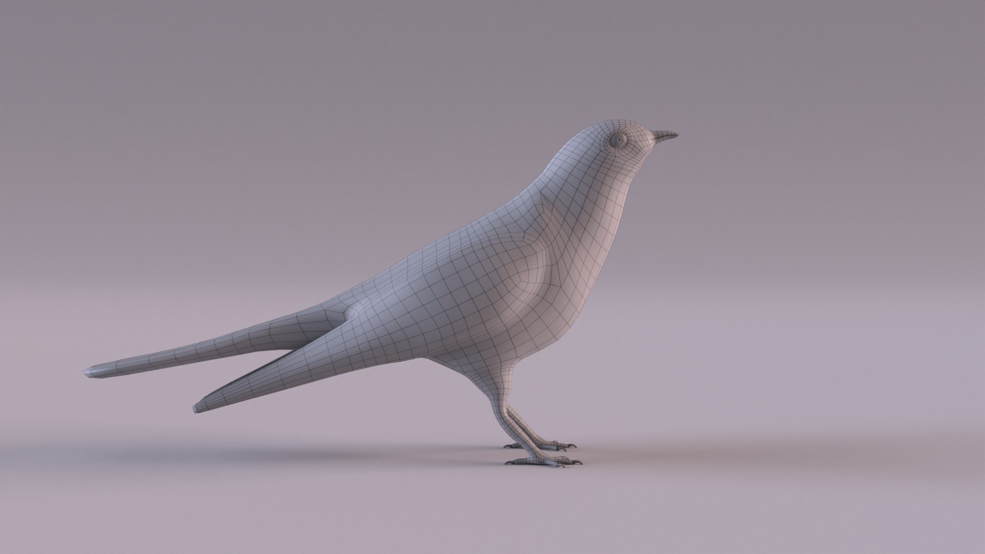 3d Model Cuckoo