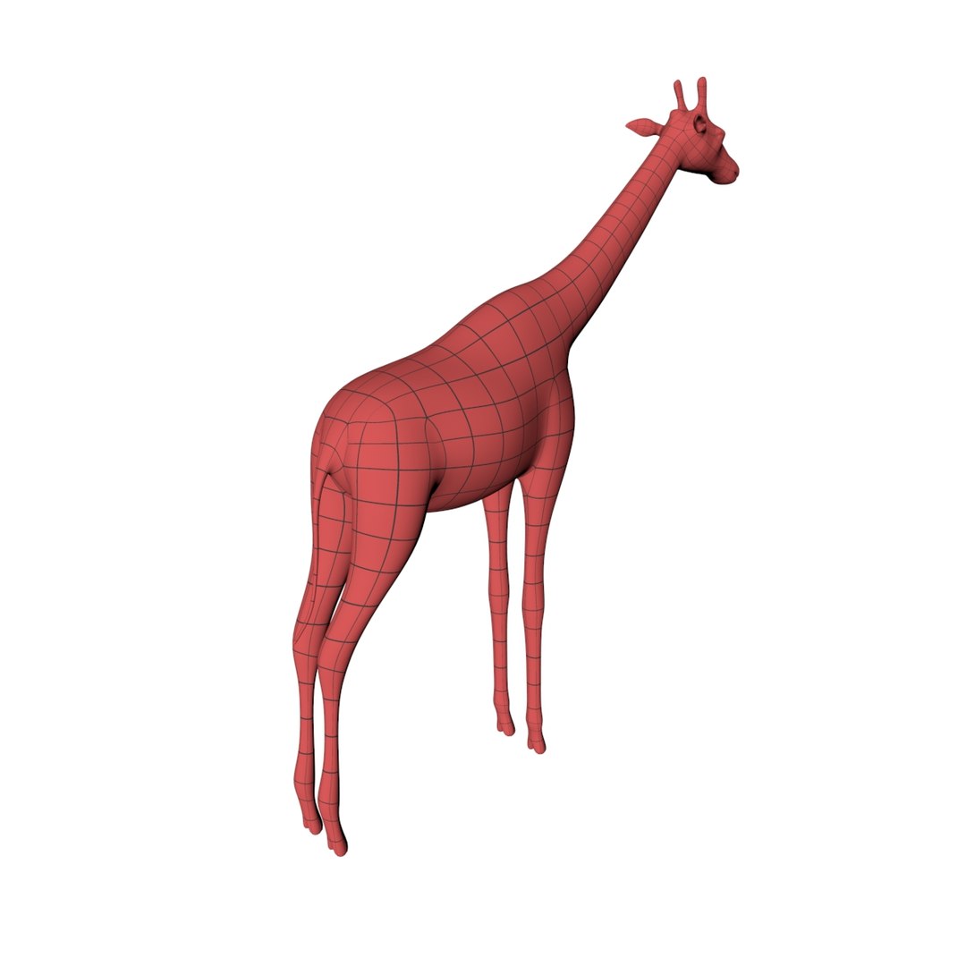 3d Base Mesh Giraffe Model