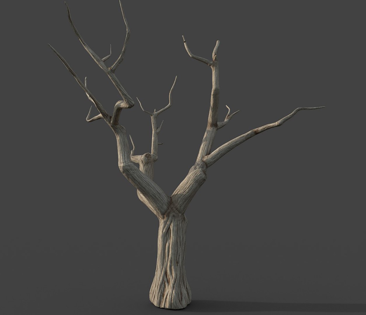 3D Dead Tree - TurboSquid 1746789