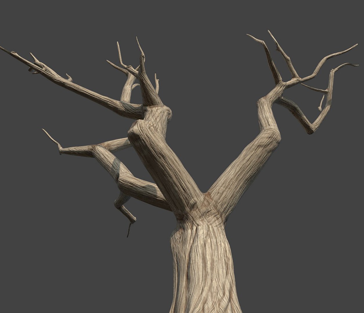 3D Dead Tree - TurboSquid 1746789