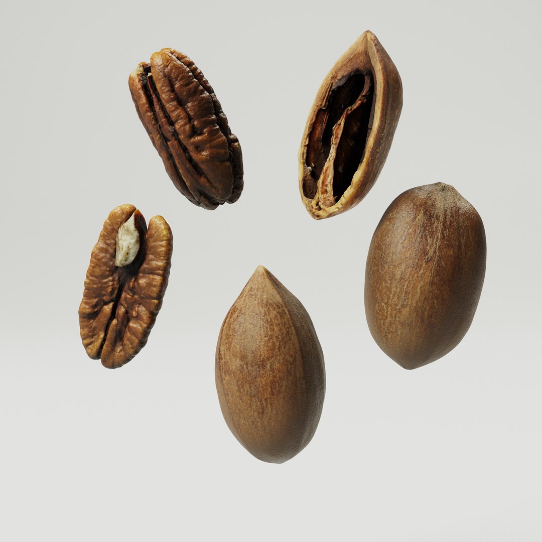 3D Pecans Model - TurboSquid 2017384