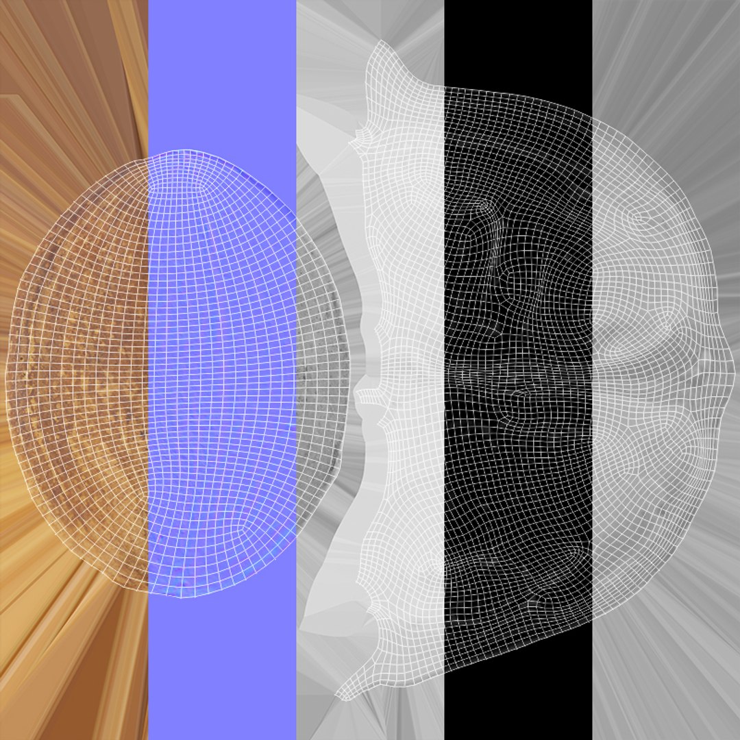 3D Pecans Model - TurboSquid 2017384