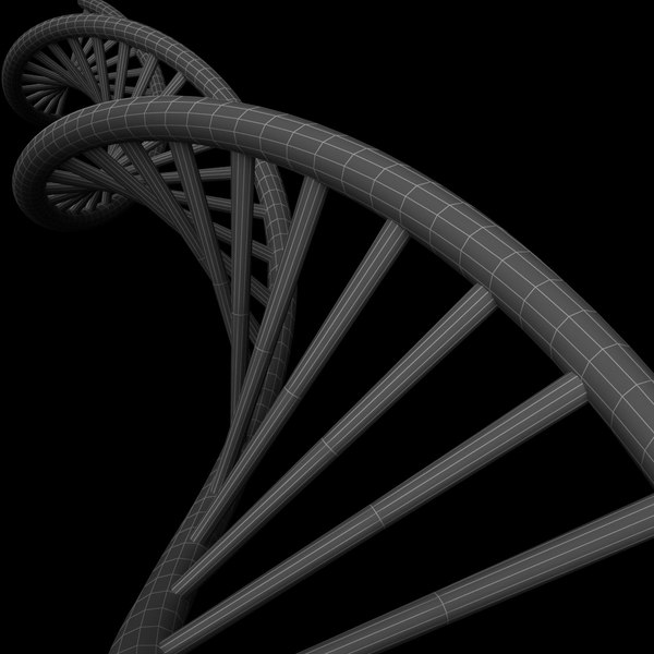 dna 3d model
