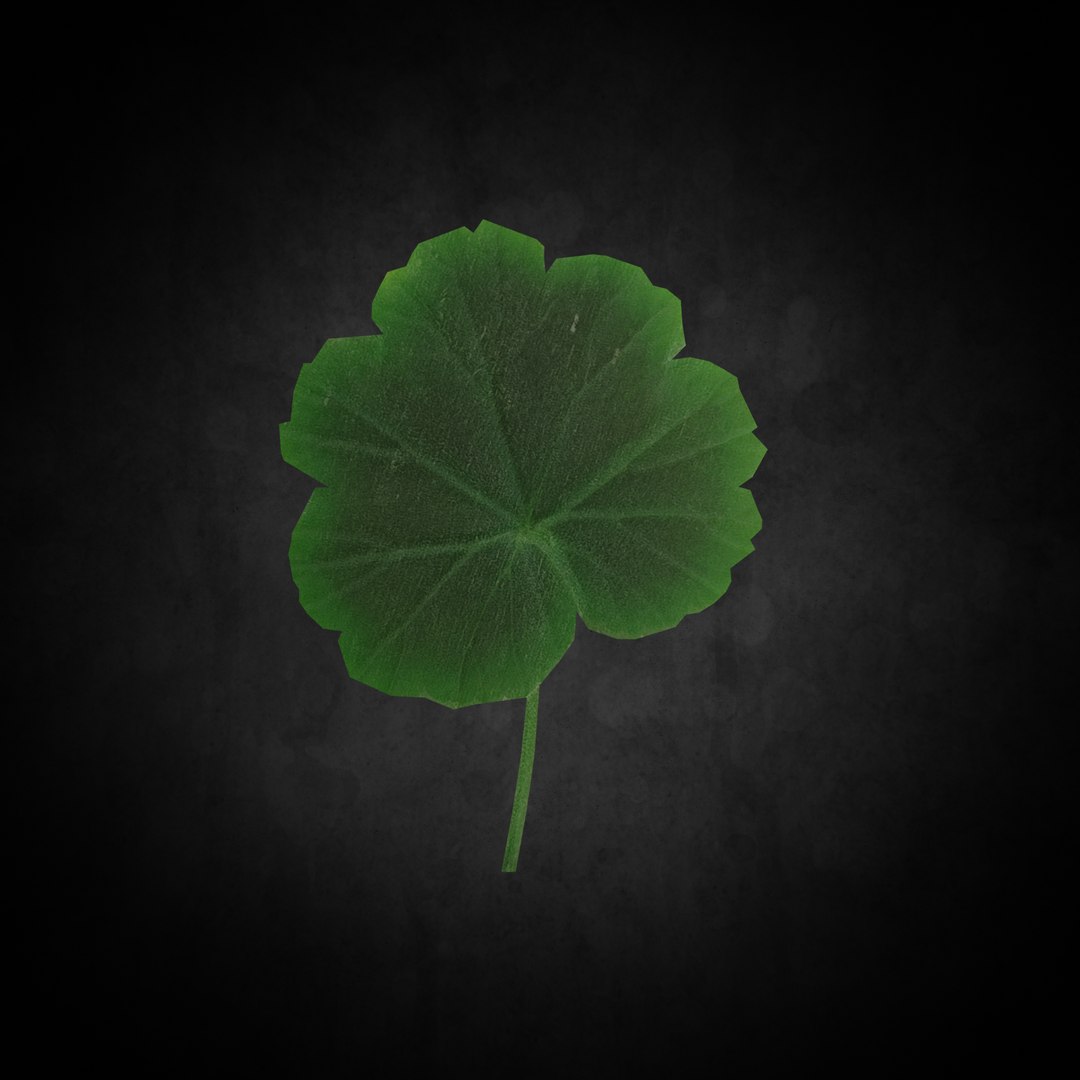 Low Poly Leaf 071 3D Model - TurboSquid 1852520