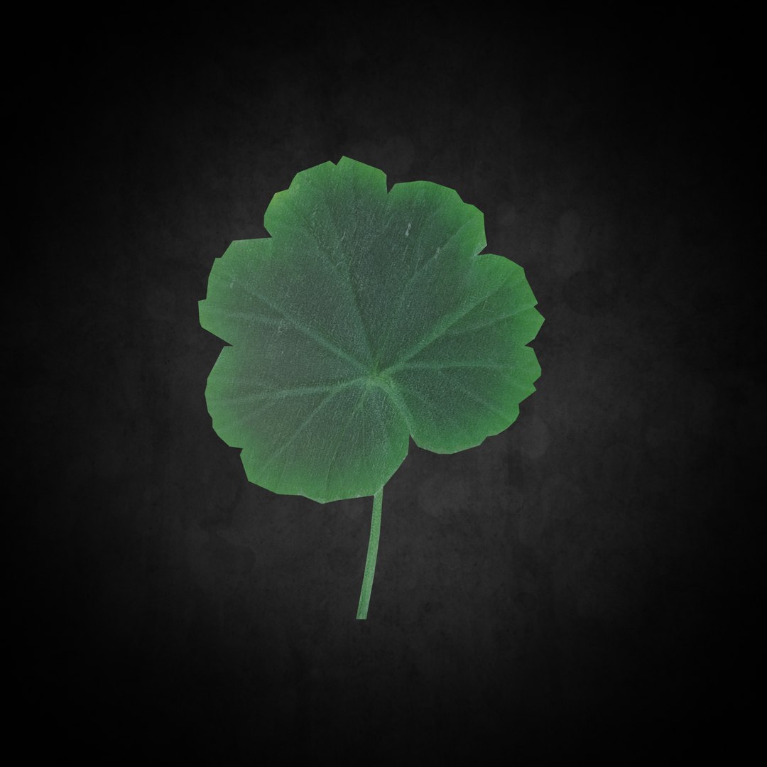 Low Poly Leaf 071 3D Model - TurboSquid 1852520