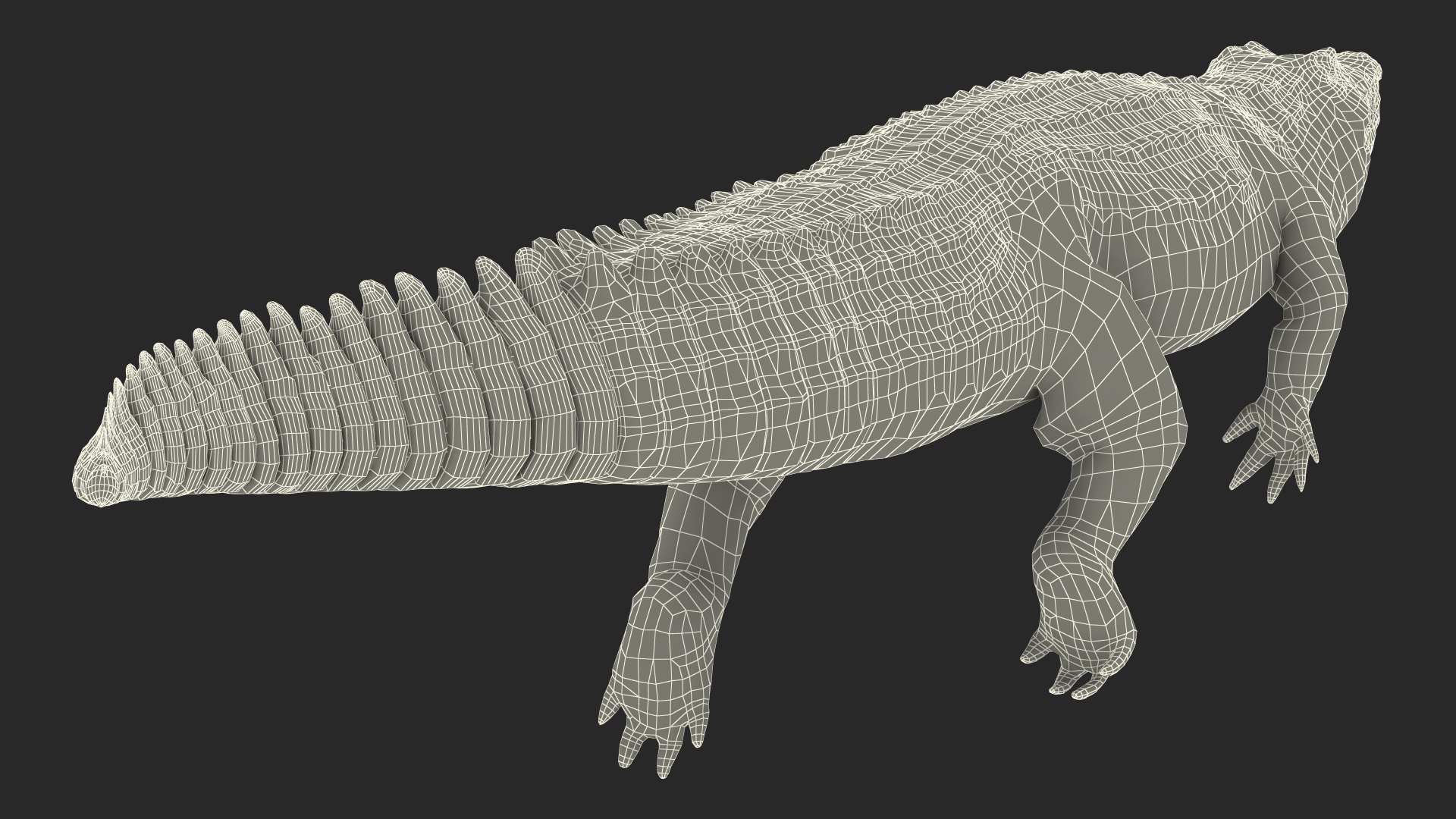 Crocodile Swiming Animal Rigged 3D Model - TurboSquid 1447339