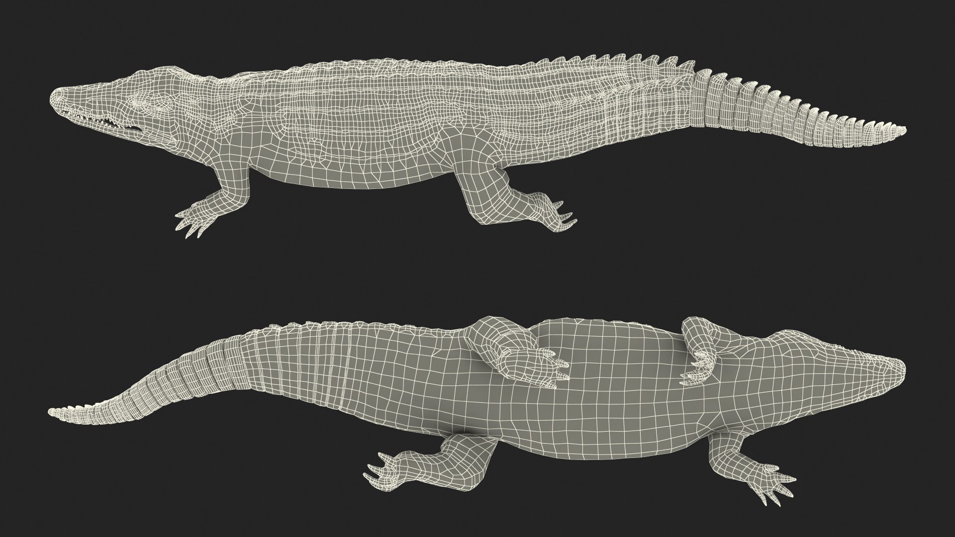 Crocodile Swiming Animal Rigged 3D Model - TurboSquid 1447339