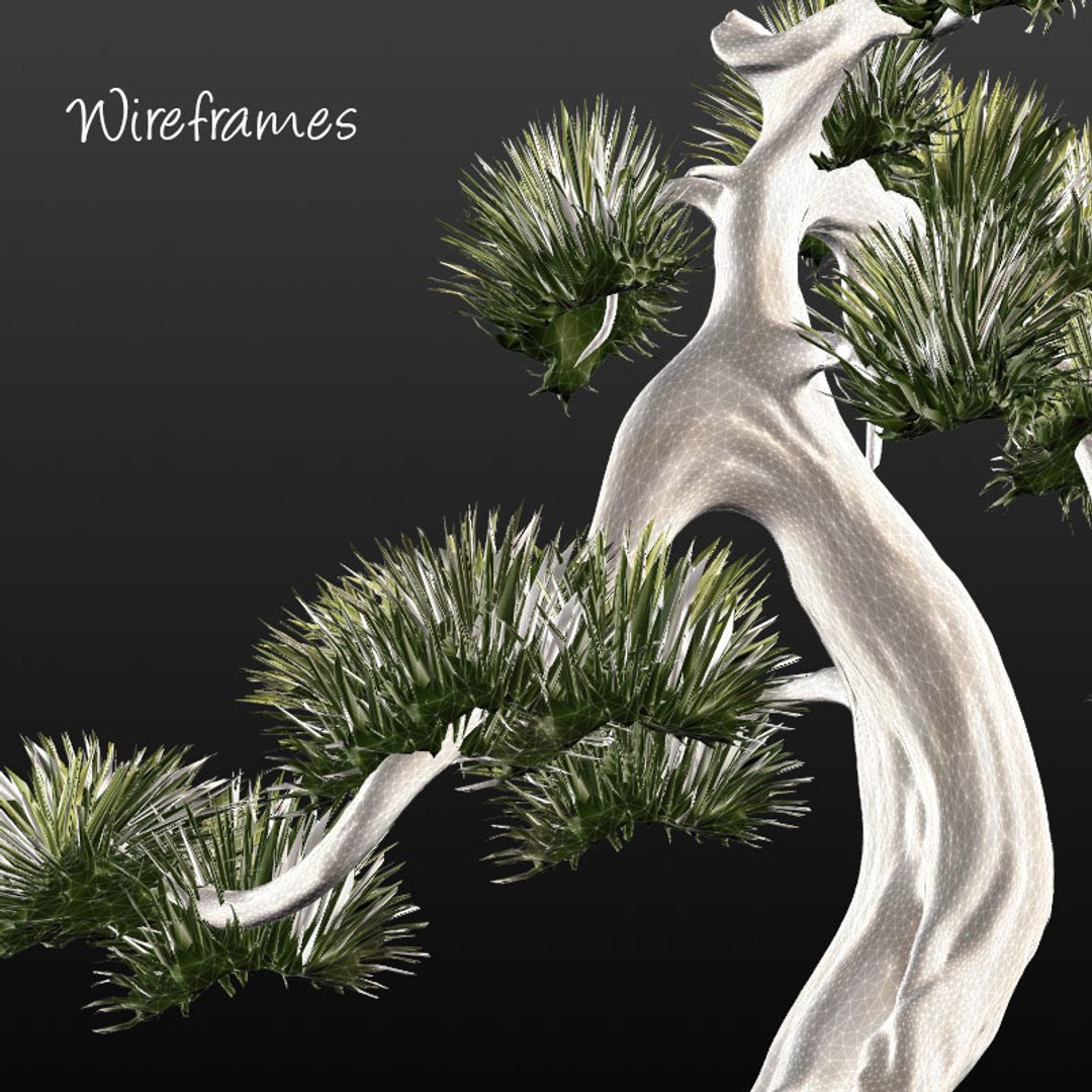 white tree 3d obj