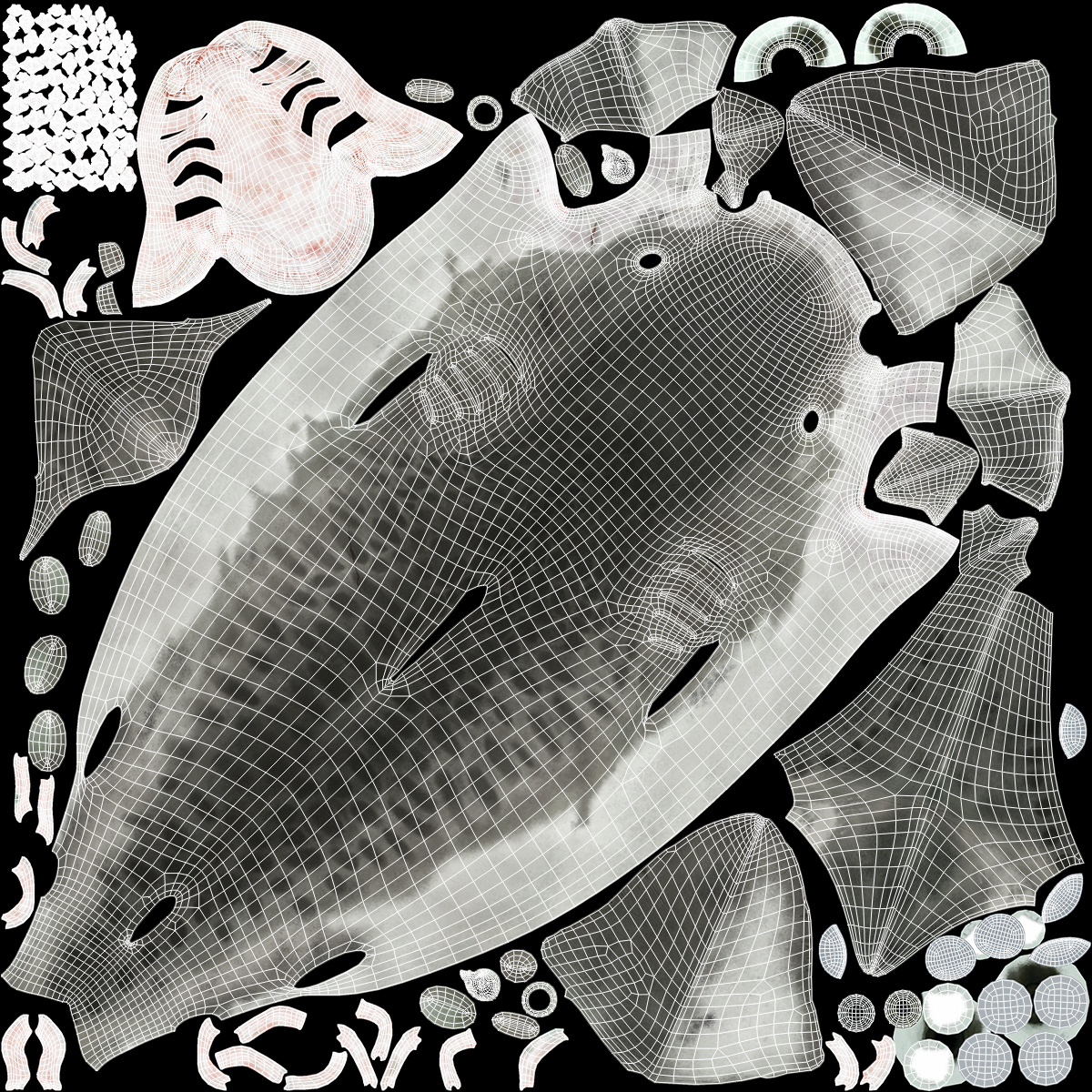 modèle 3D de Attaque de requin-tigre : animation 3D compatible avec ...