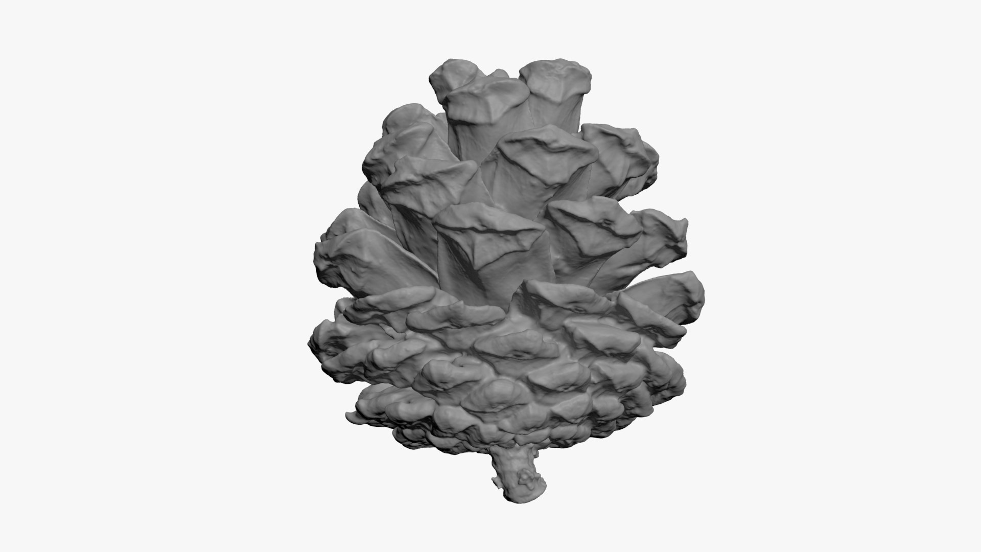 3D Pine Cone 03 3D Print Model - TurboSquid 2292308