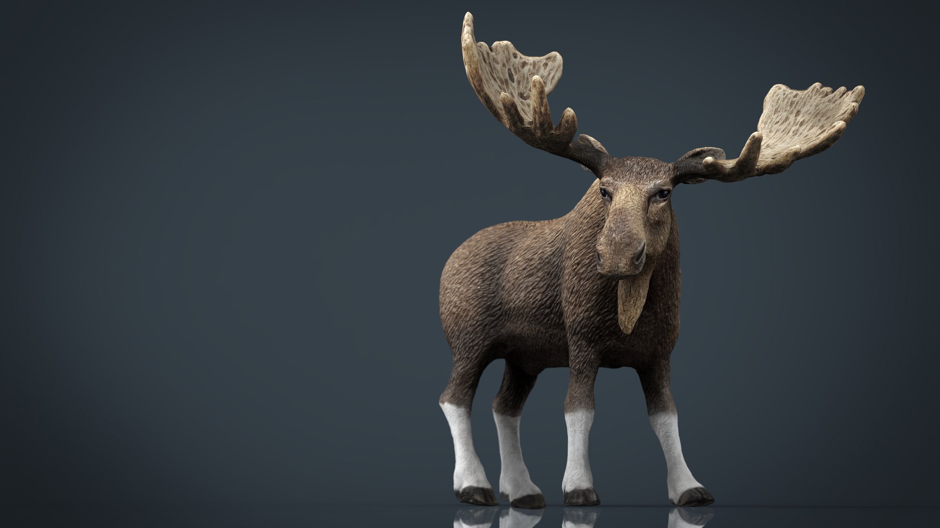 3D Elk | 1143950 | TurboSquid