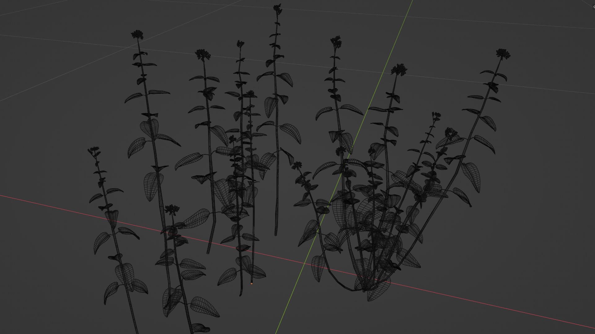 3D Realistic Late Summer Oregano - TurboSquid 2054207
