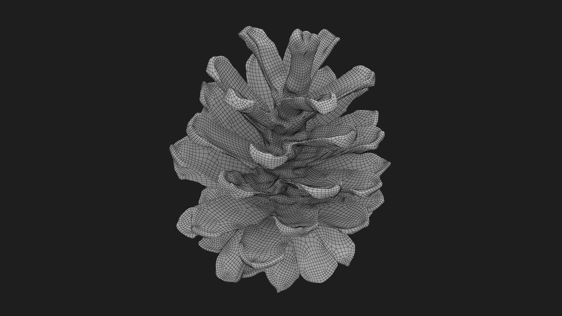 3D Model Pine Cone 01 - TurboSquid 2291580