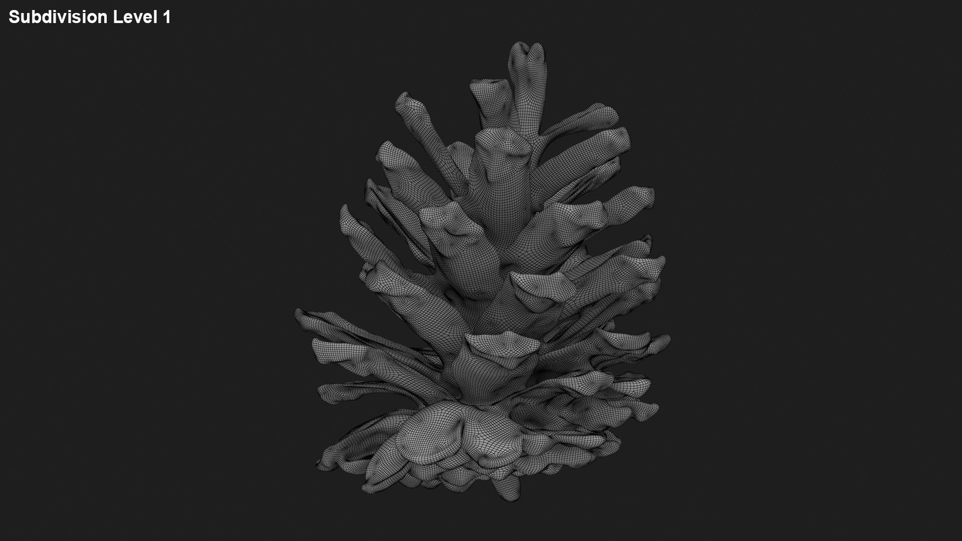 3D Model Pine Cone 01 - TurboSquid 2291580