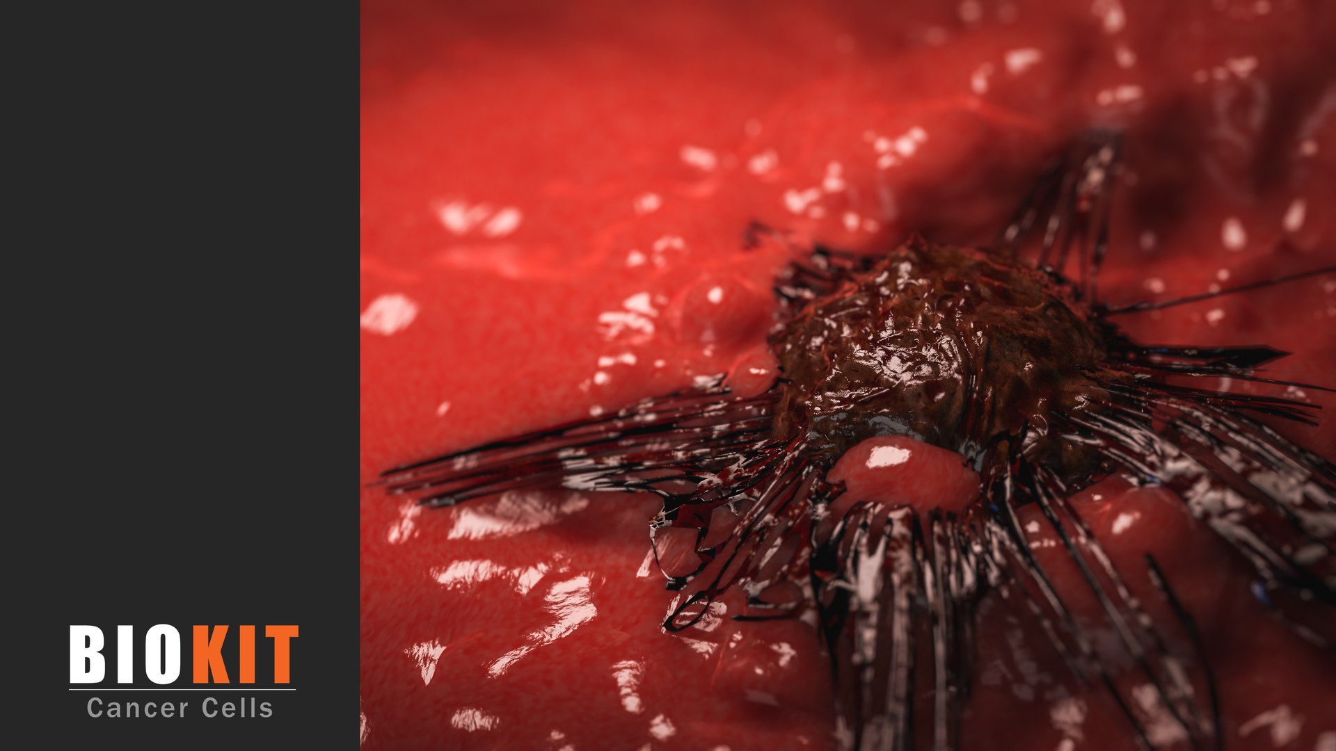 Cancer Cells Biokit 3D Model - TurboSquid 1689835