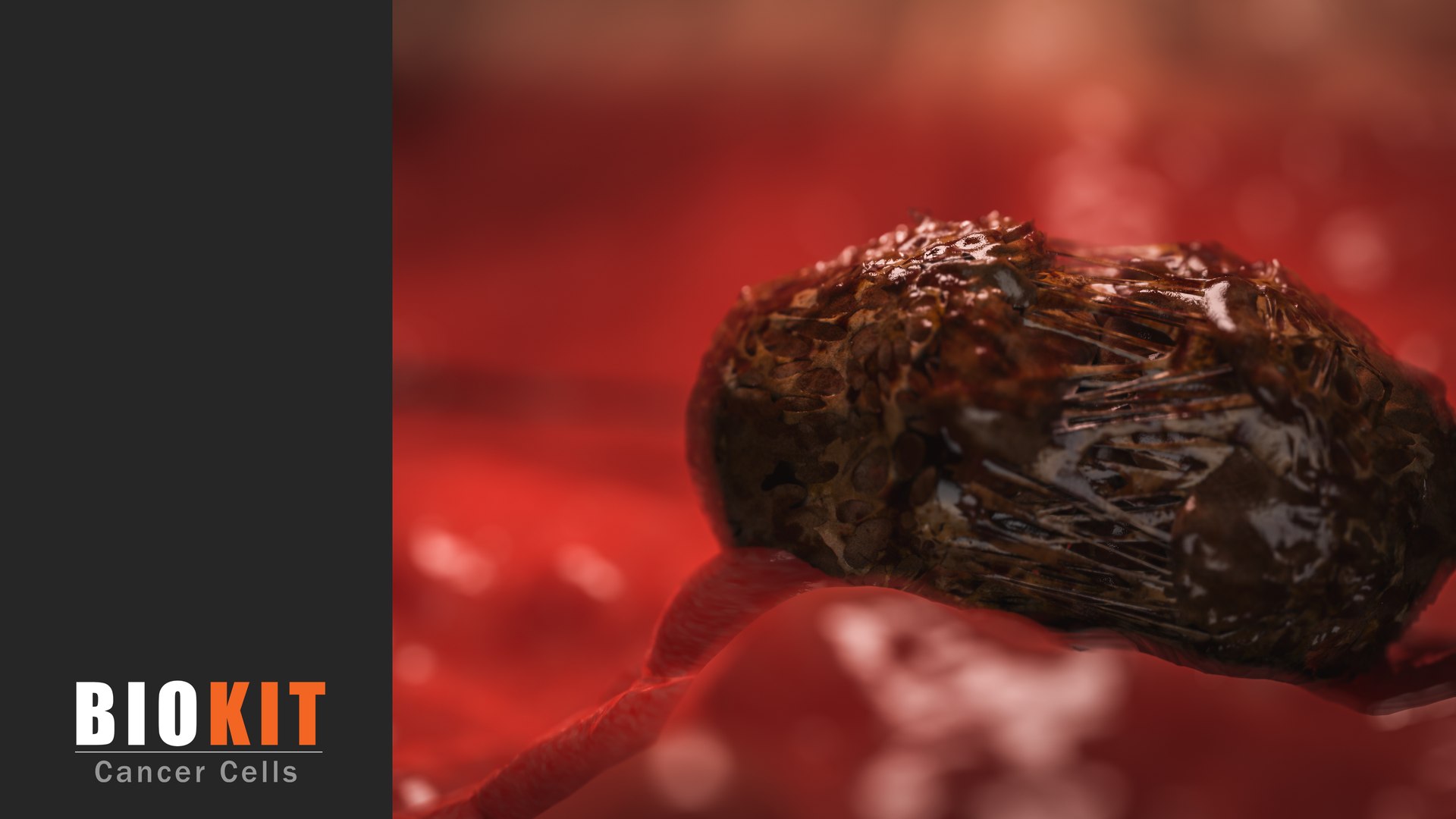 Cancer Cells Biokit 3D Model - TurboSquid 1689835