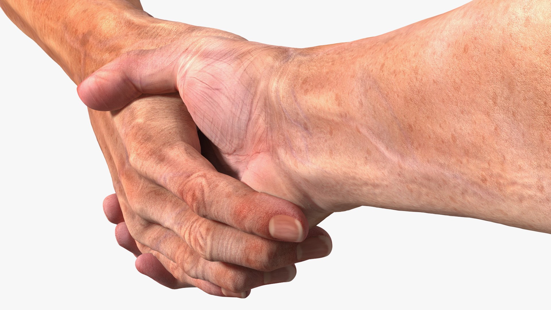 Handshake Old Man Hands Rigged For Maya 3D Model - TurboSquid 2124314