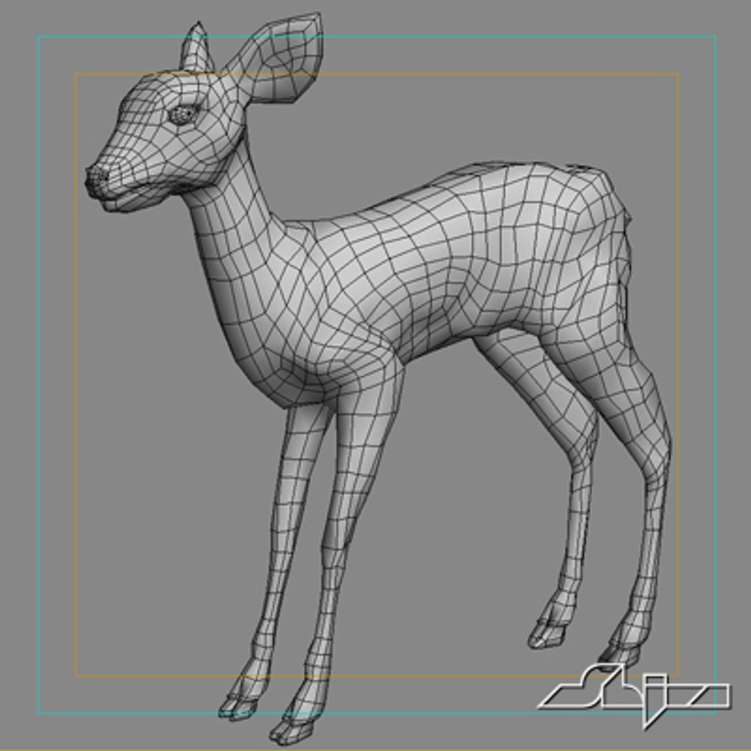 3d Model Young Deer