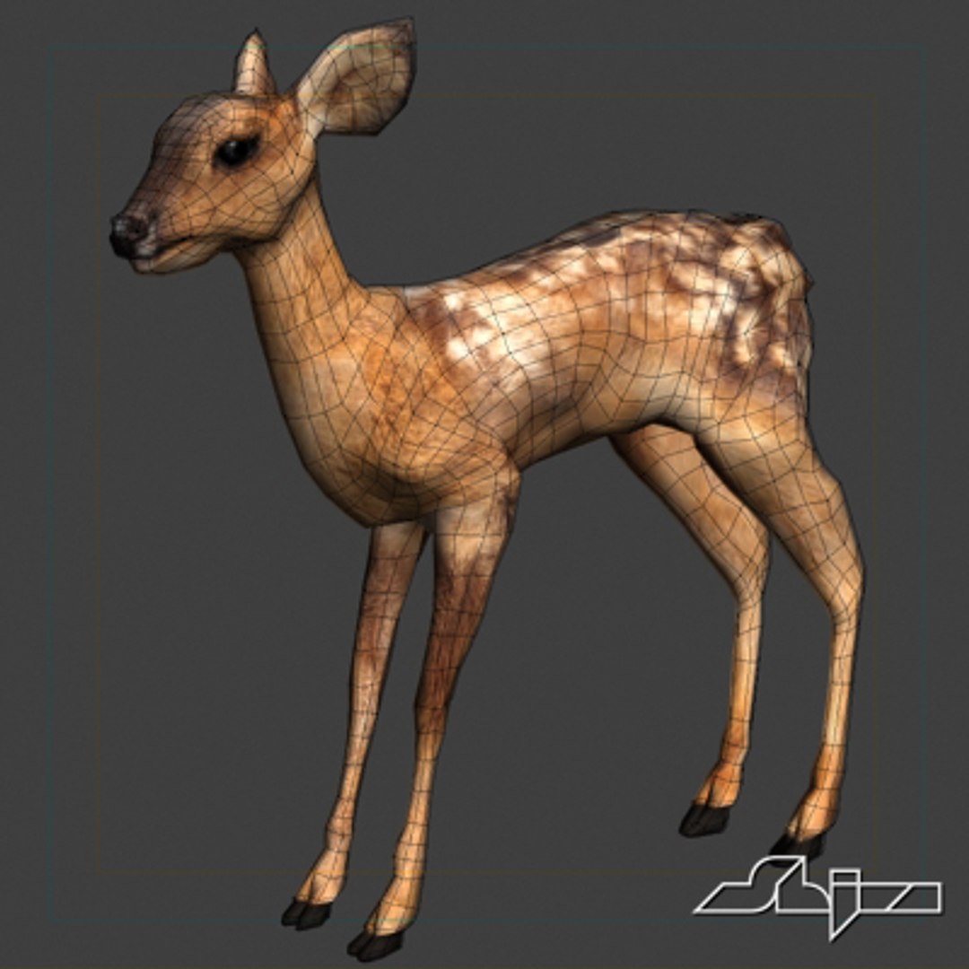 3d Model Young Deer