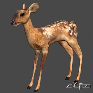 SketchUp Animal Models | TurboSquid