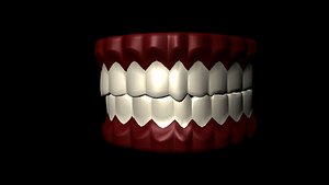 Free 3D Teeth Models - Available For Download On TurboSquid