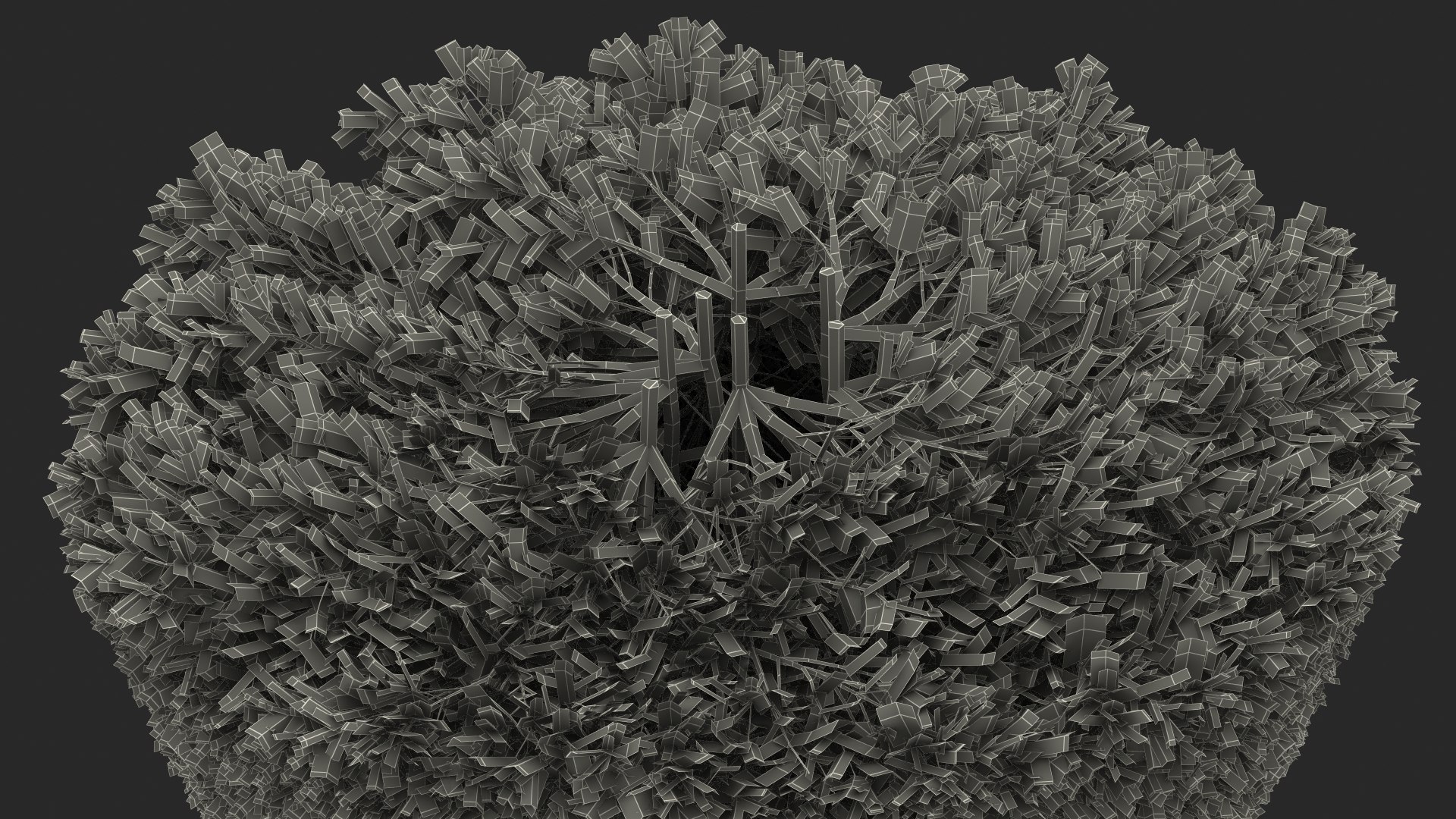 3D pyramidal green mountain boxwood - TurboSquid 1581974