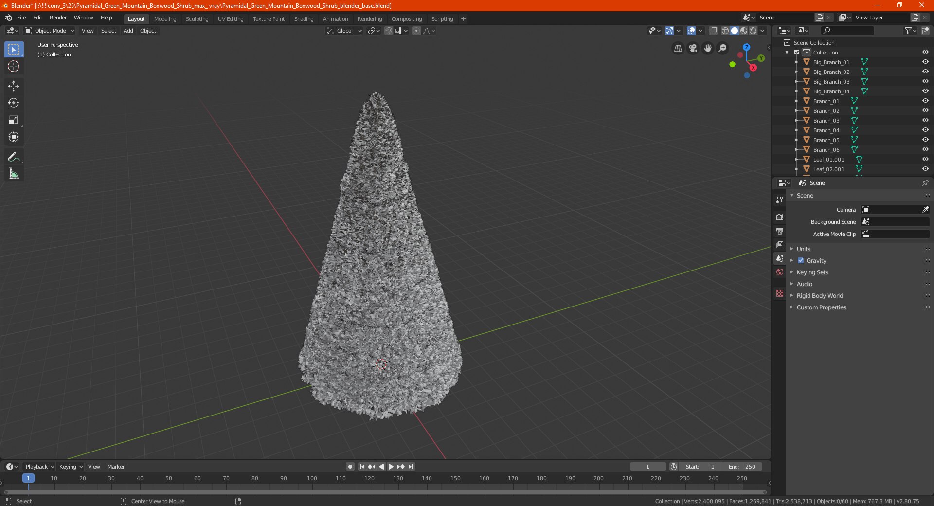 3D pyramidal green mountain boxwood - TurboSquid 1581974