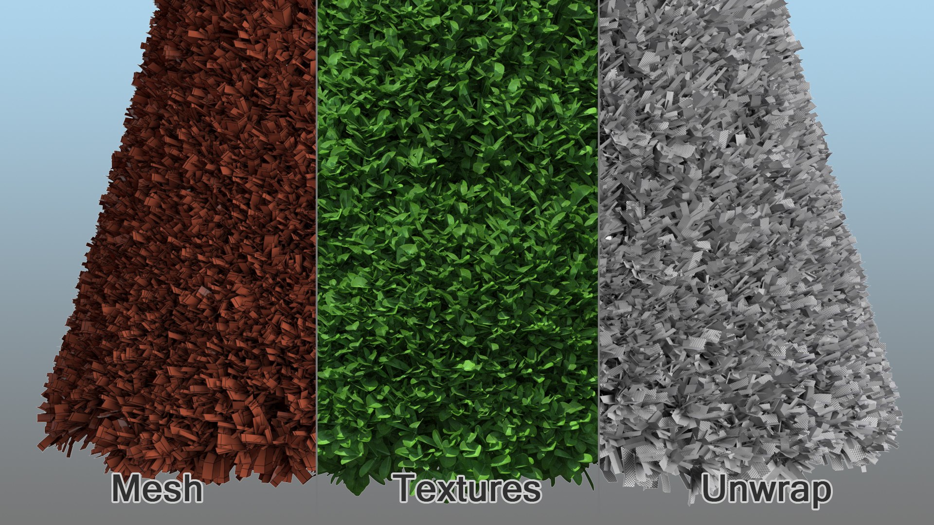 3D pyramidal green mountain boxwood - TurboSquid 1581974