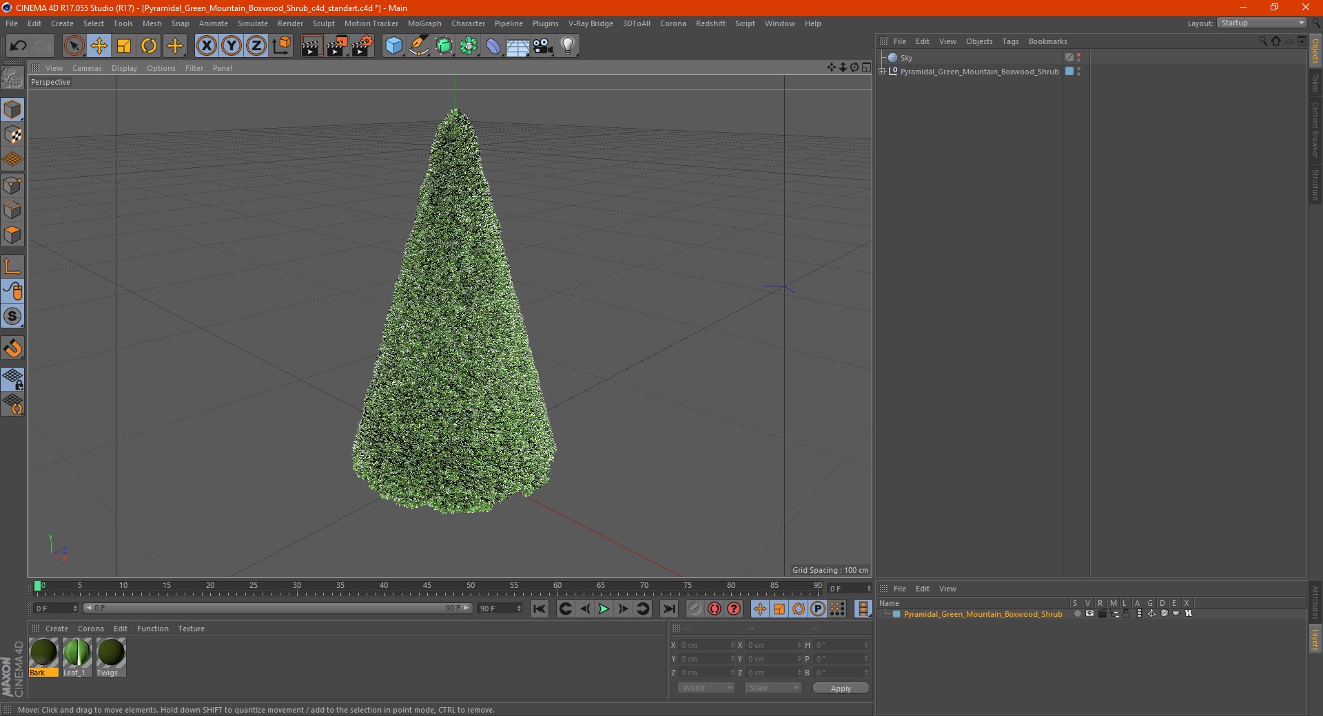 3D pyramidal green mountain boxwood - TurboSquid 1581974