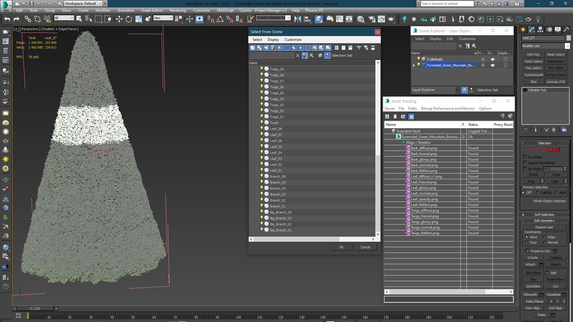 3D pyramidal green mountain boxwood - TurboSquid 1581974