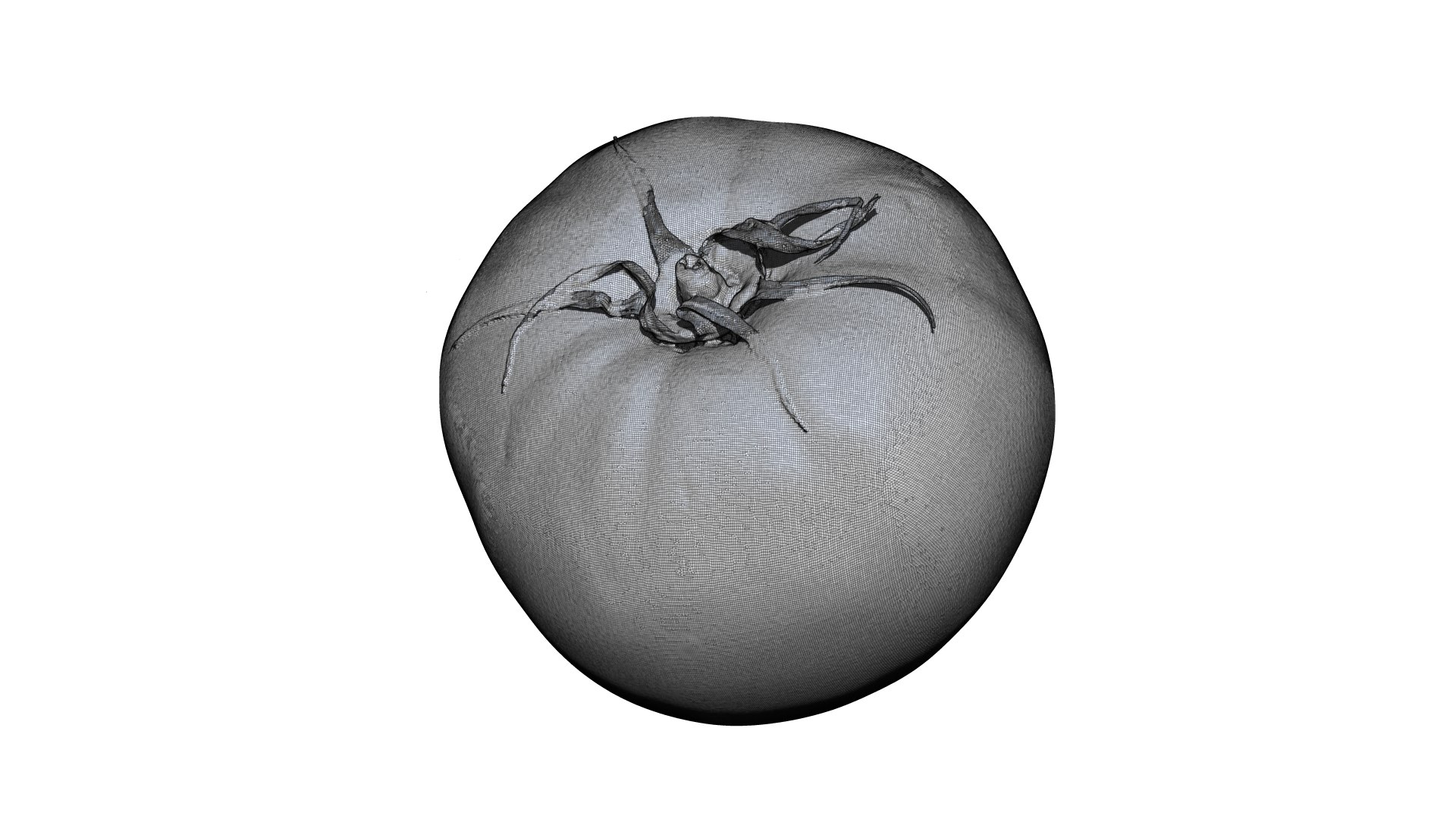 3D Tomato 3D CT scan model - TurboSquid 1908509