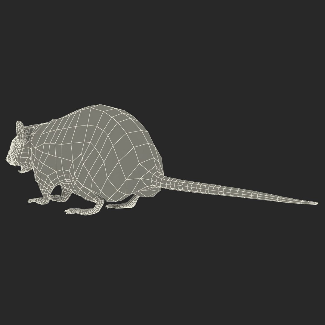 3d Mouse Fur Model
