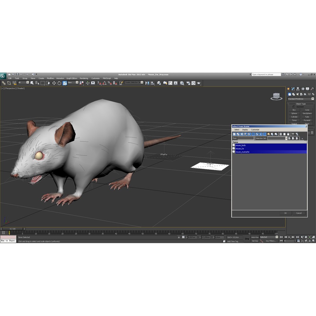 3d Mouse Fur Model